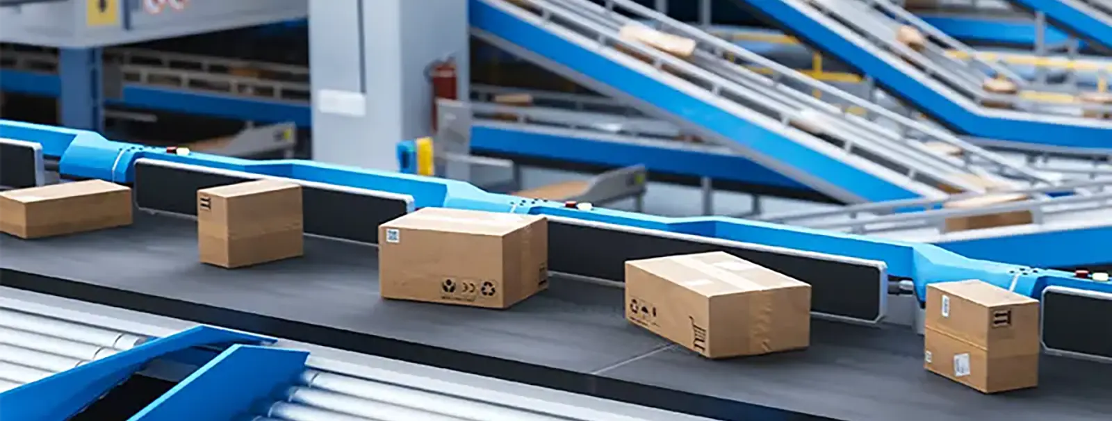 An $87,000 Mistake: Why ‘Cheap’ Conveyor Belts Cost More