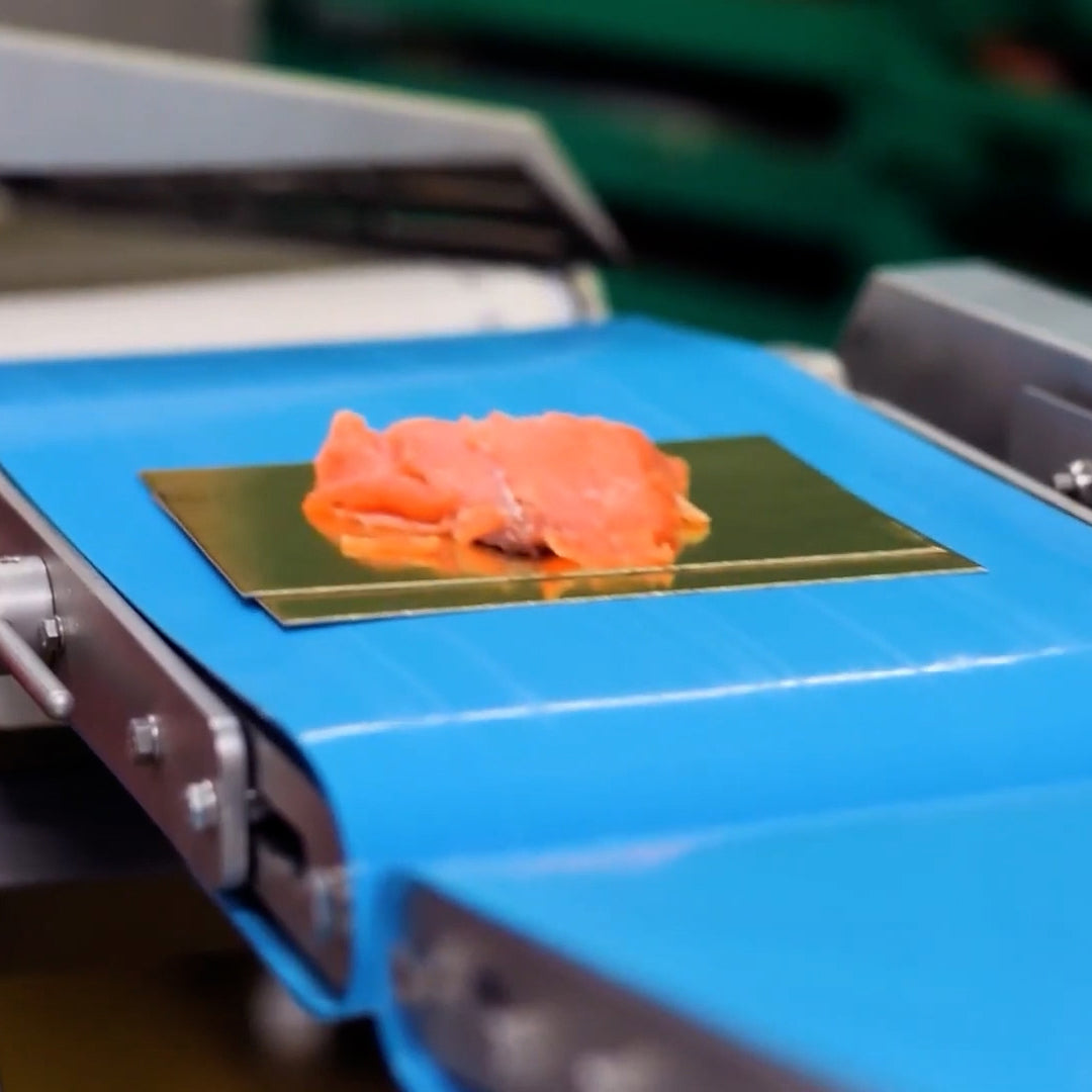 Food Processing Conveyor Belts – Kunming Conveyor Belt | KCB